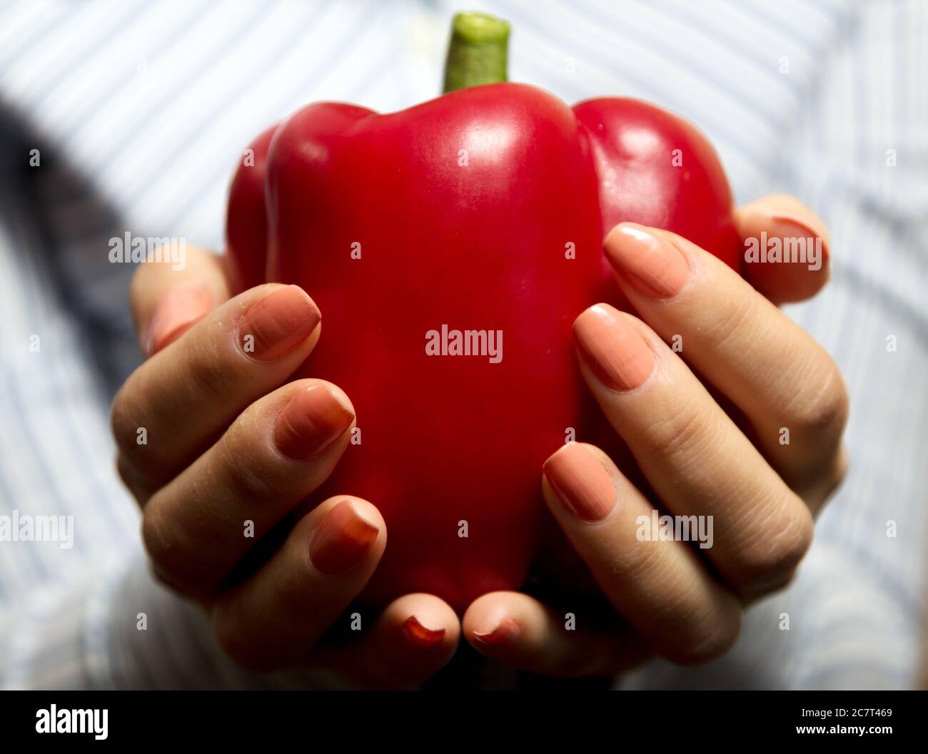 Red pepper on a woman's hand - horizontal photo Stock Photo - Alamy