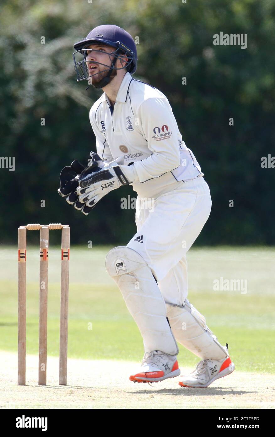 Toby lee hi-res stock photography and images - Alamy
