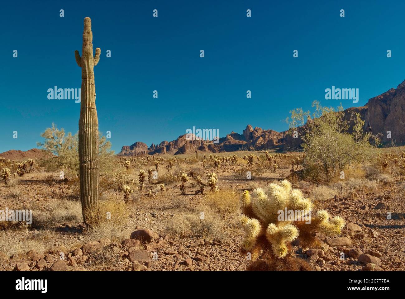 Sonoran Desert and Kofa Mountains at Kofa National Wildlife Refuge ...