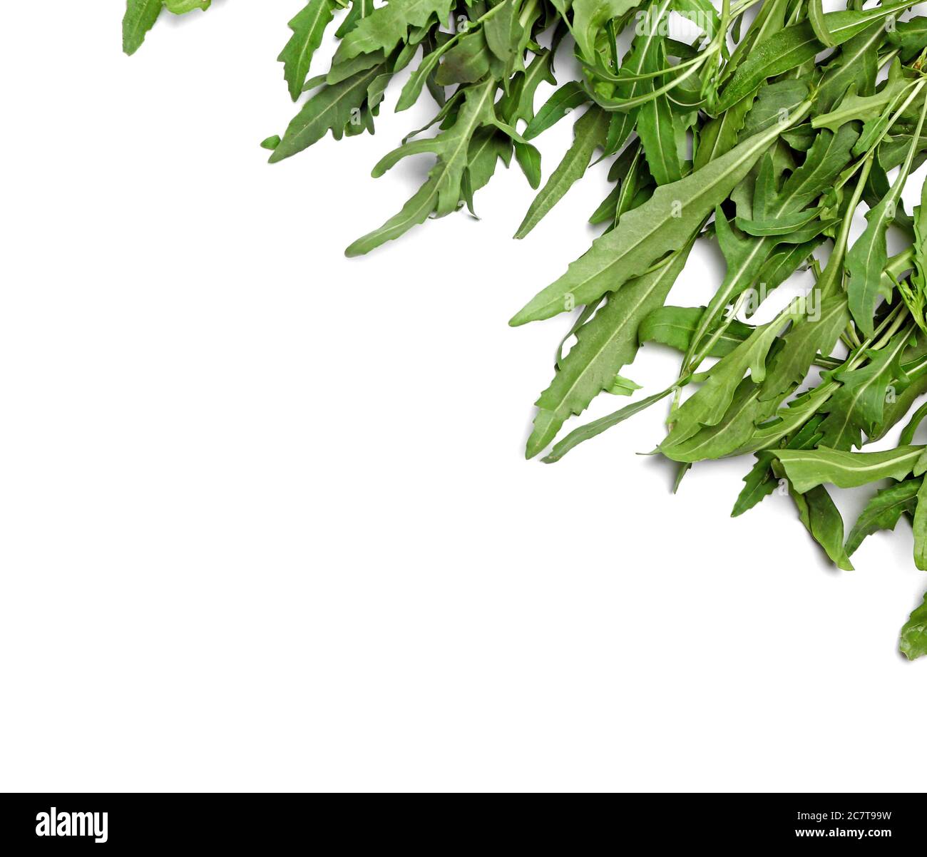 Fresh arugula on white background Stock Photo - Alamy