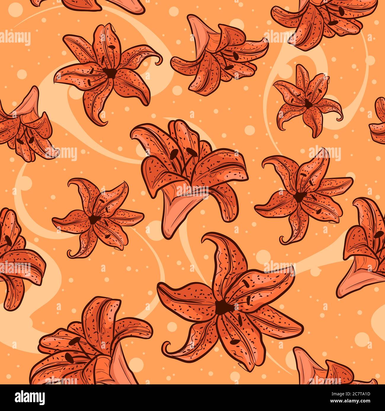 Lilium orange lily flowers Stock Vector Images - Alamy