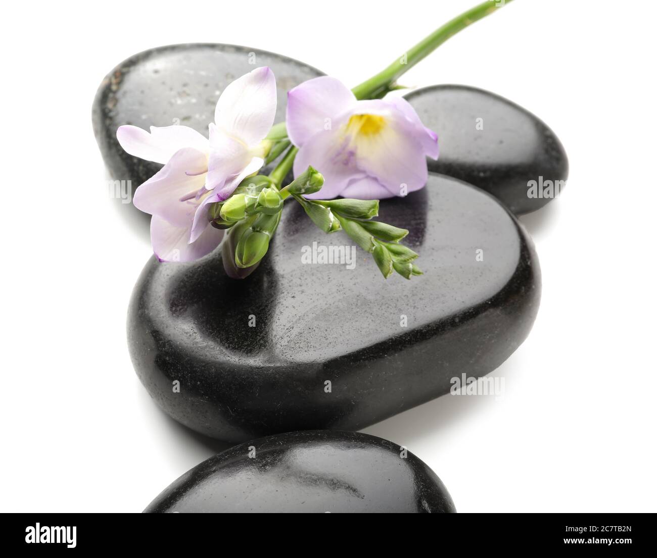 Spa stones and flowers on white background Stock Photo - Alamy