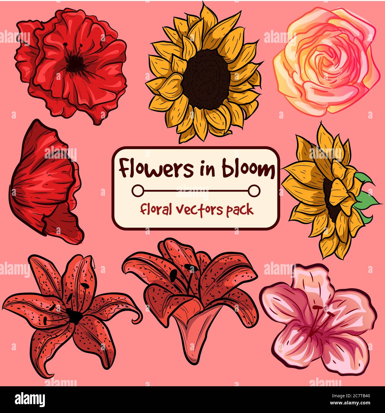 Flowers in bloom - small collection pack. Ornamental isolated vectors ...