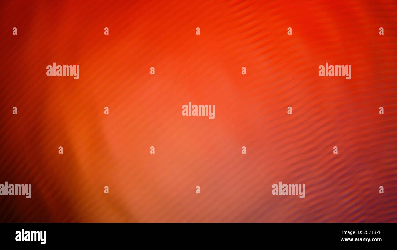 Illustration of red interleaved refracted and mottled light layers ...