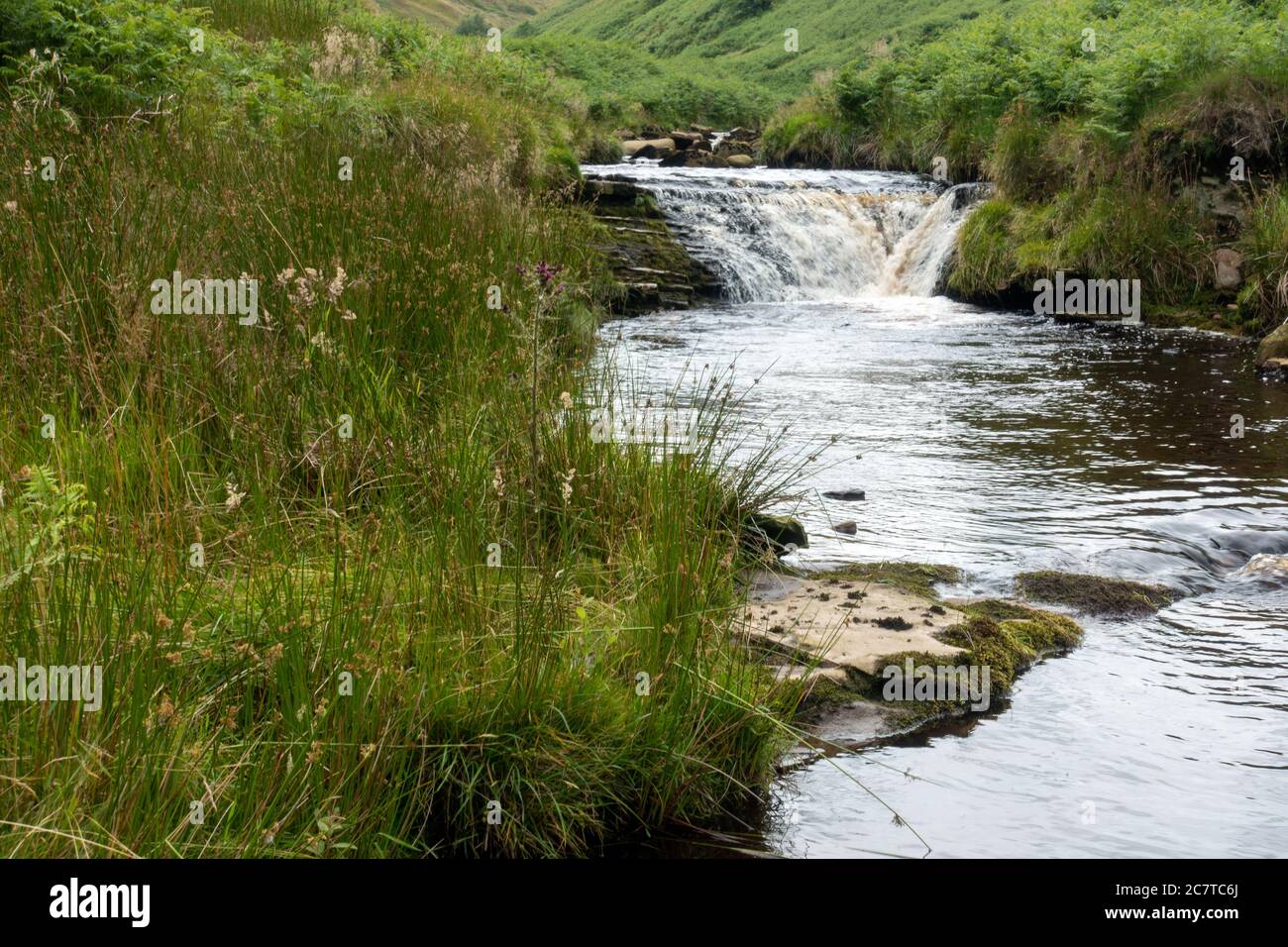 Alport Dale is a remove valley in the Peak District National Park with ...