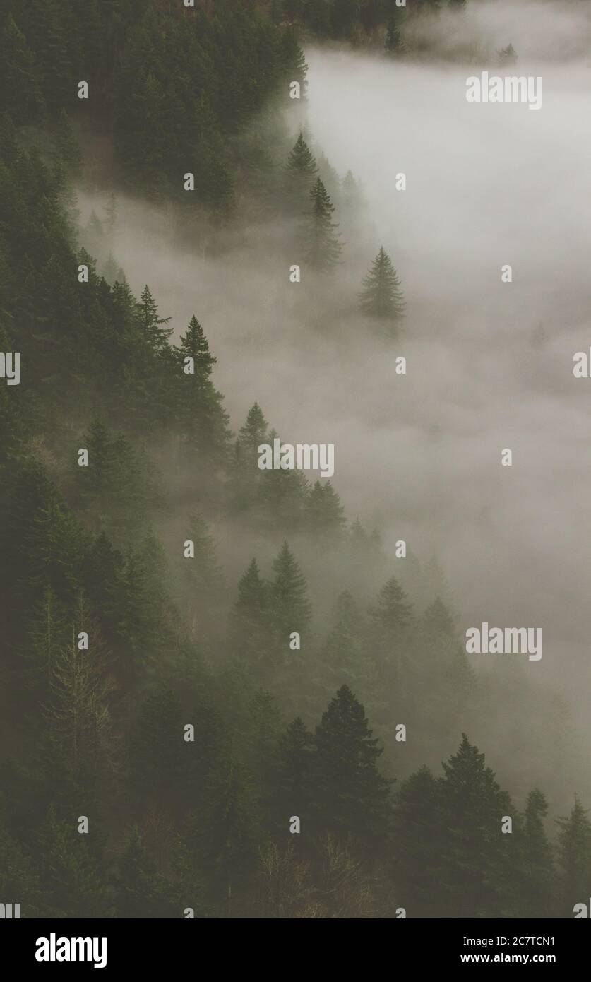 Aerial vertical scene beautiful foggy hi-res stock photography and images - Alamy