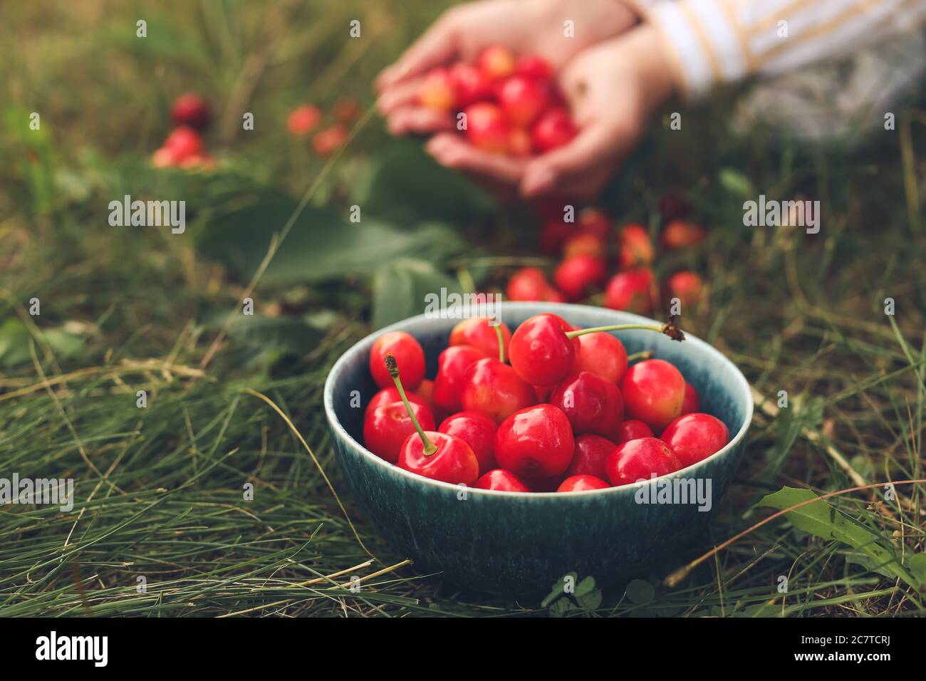 Girl eat cherry hi-res stock photography and images - Alamy