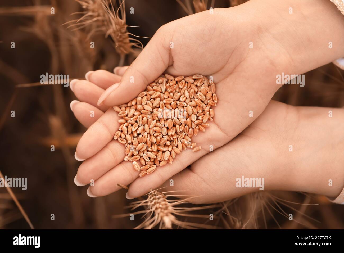 Female farmer with heap of grains in wheat field Stock Photo - Alamy