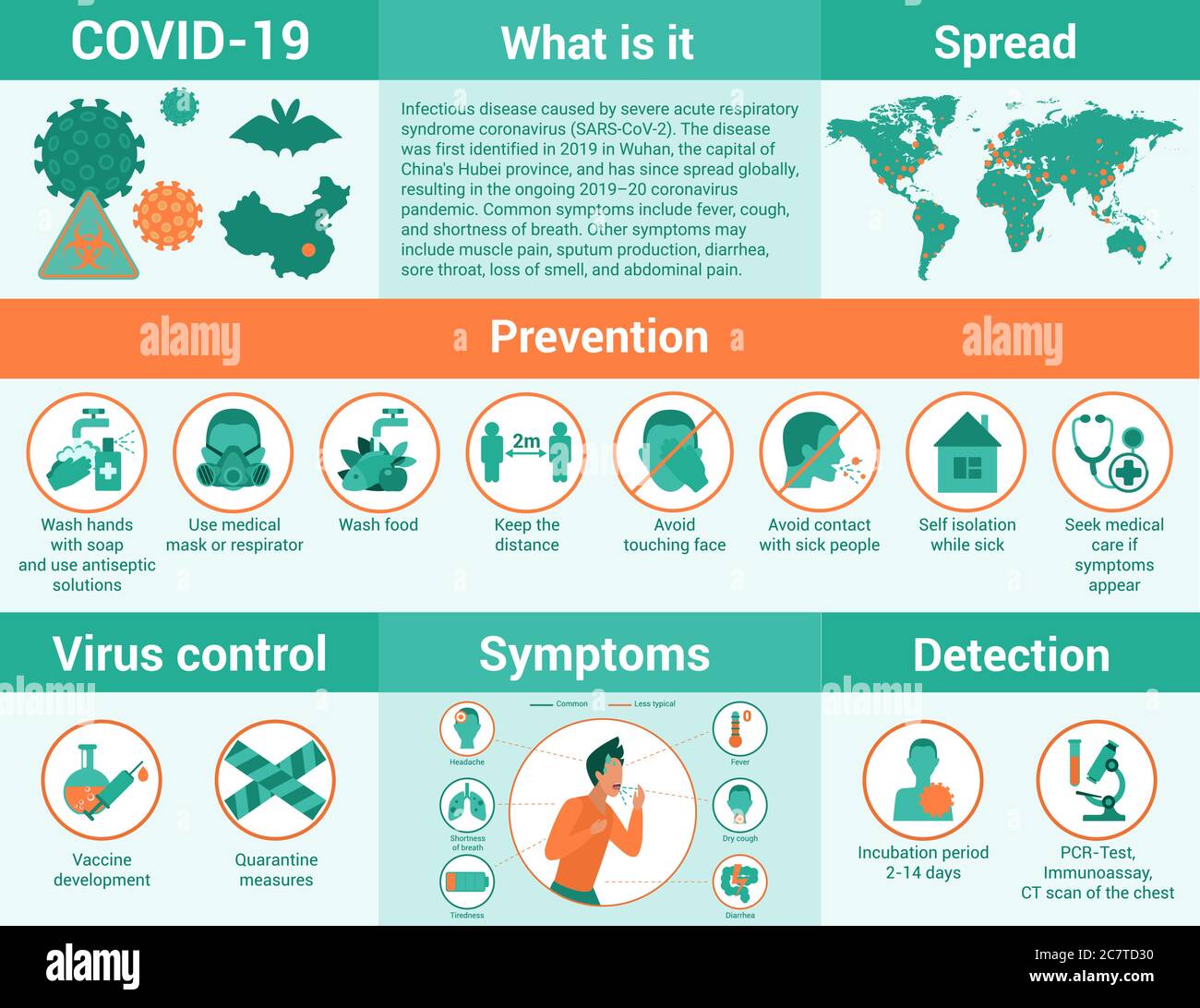 Detailed information about coronavirus, covid 19 infographic flat ...