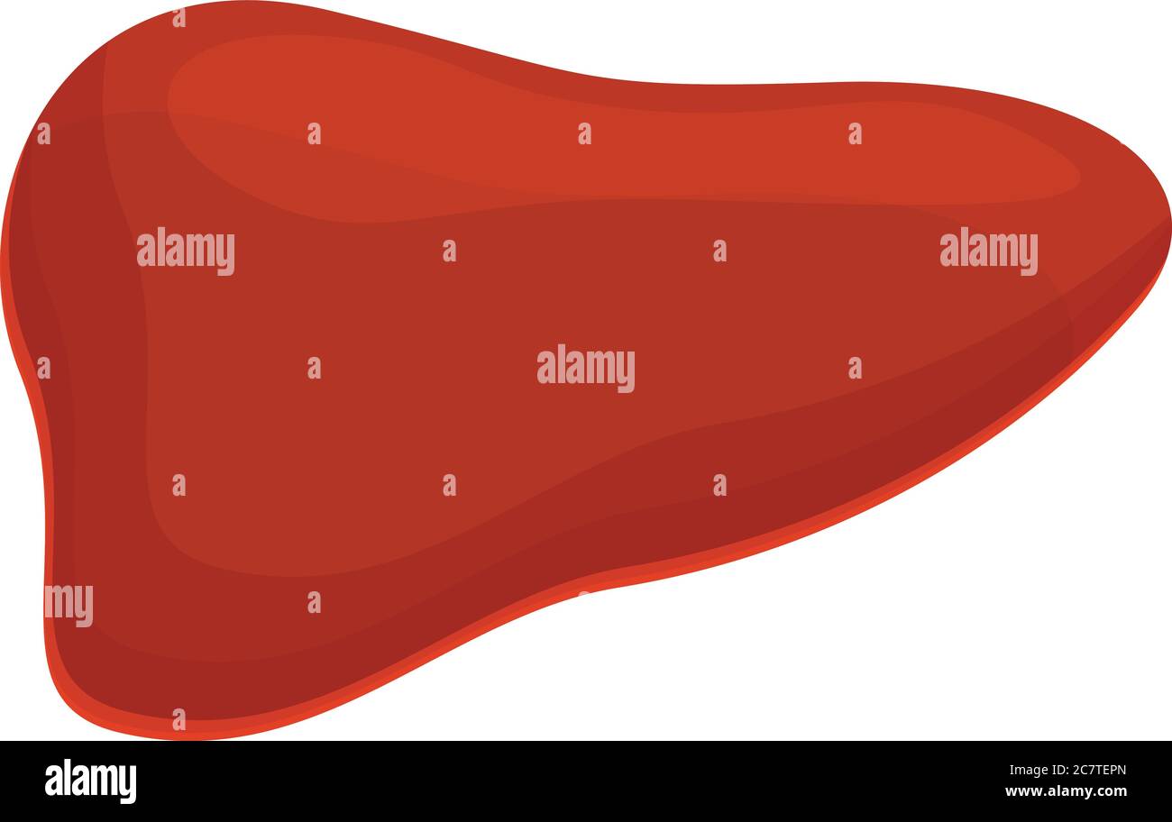 Human liver icon. Cartoon of human liver vector icon for web design ...