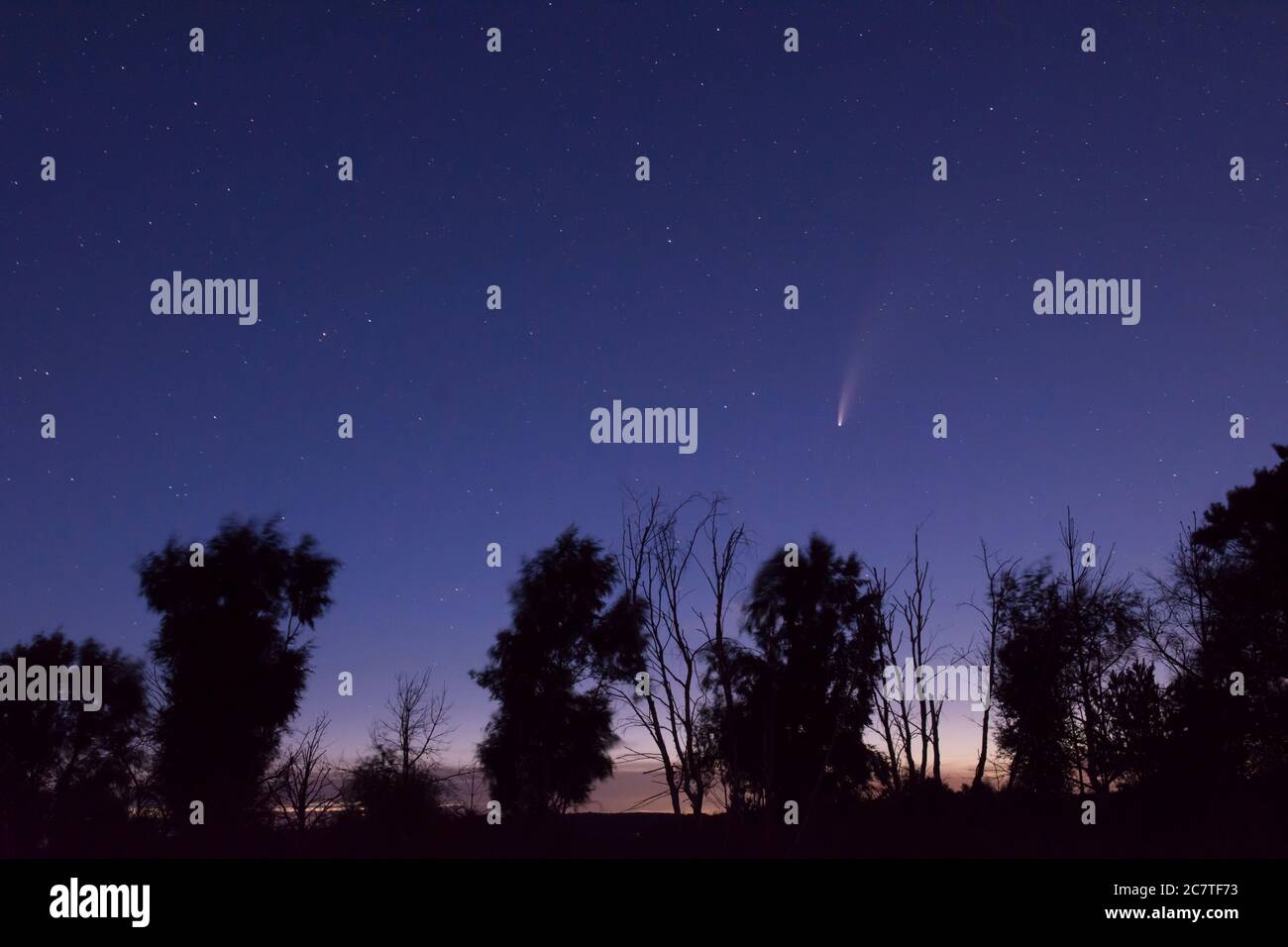 Comet 2020 Neowise seen from Stedham and Iping Common, Sussex, UK, July ...