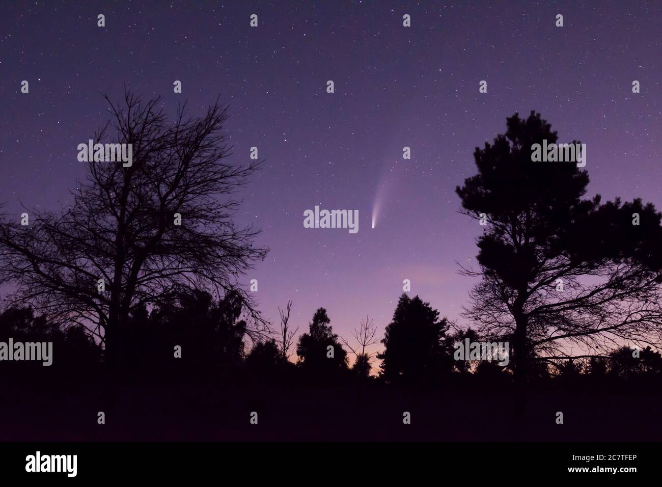 Comet 2020 Neowise seen from Stedham and Iping Common, Sussex, UK, July ...