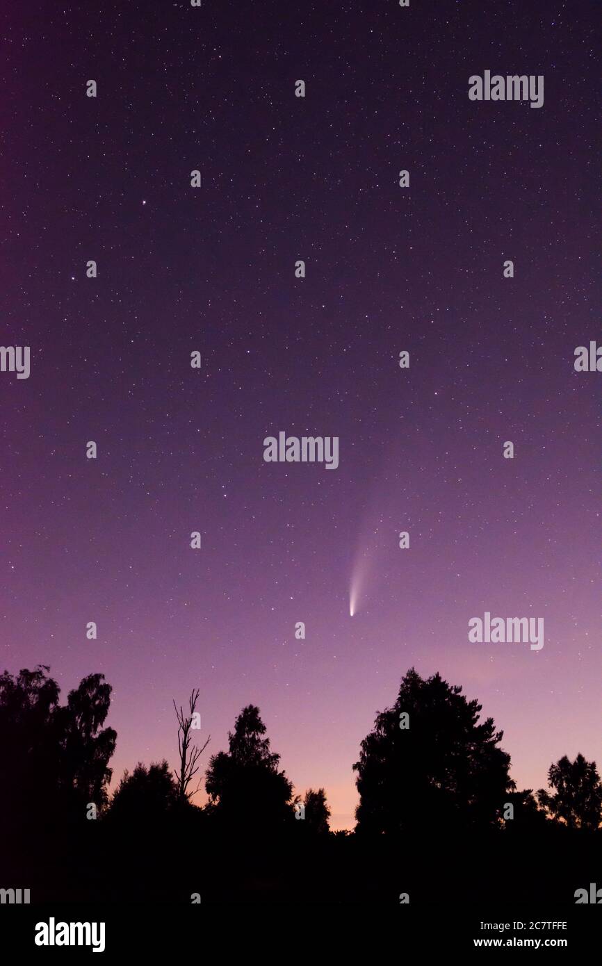 Comet 2020 Neowise seen from Stedham and Iping Common, Sussex, UK, July ...