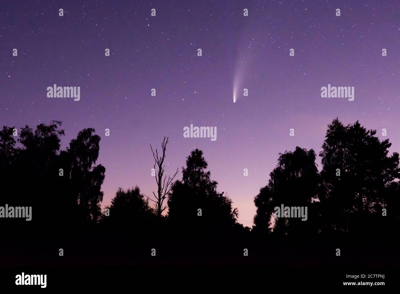 Iping and stedham hi-res stock photography and images - Alamy