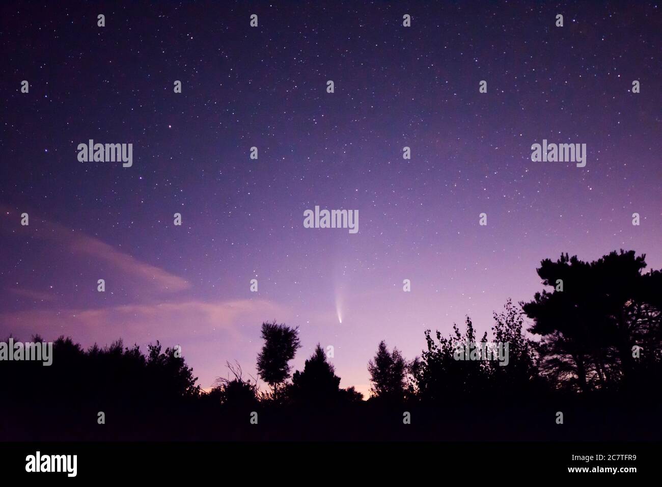Comet 2020 Neowise seen from Stedham and Iping Common, Sussex, UK, July ...