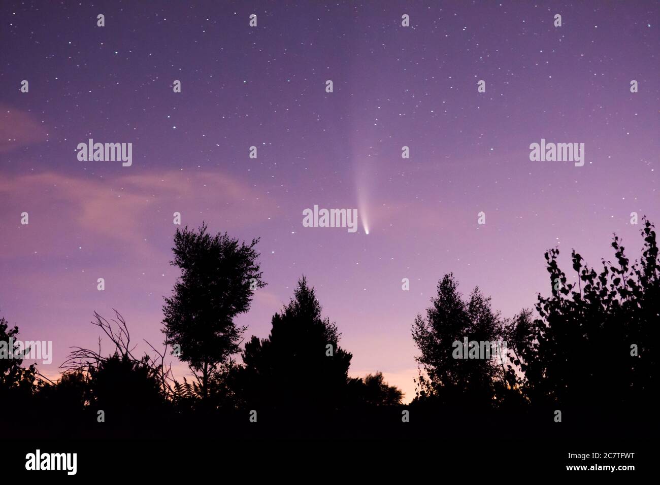 Comet 2020 Neowise seen from Stedham and Iping Common, Sussex, UK, July ...