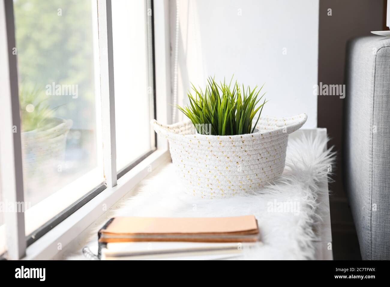 Wicker basket with houseplant on window sill Stock Photo - Alamy