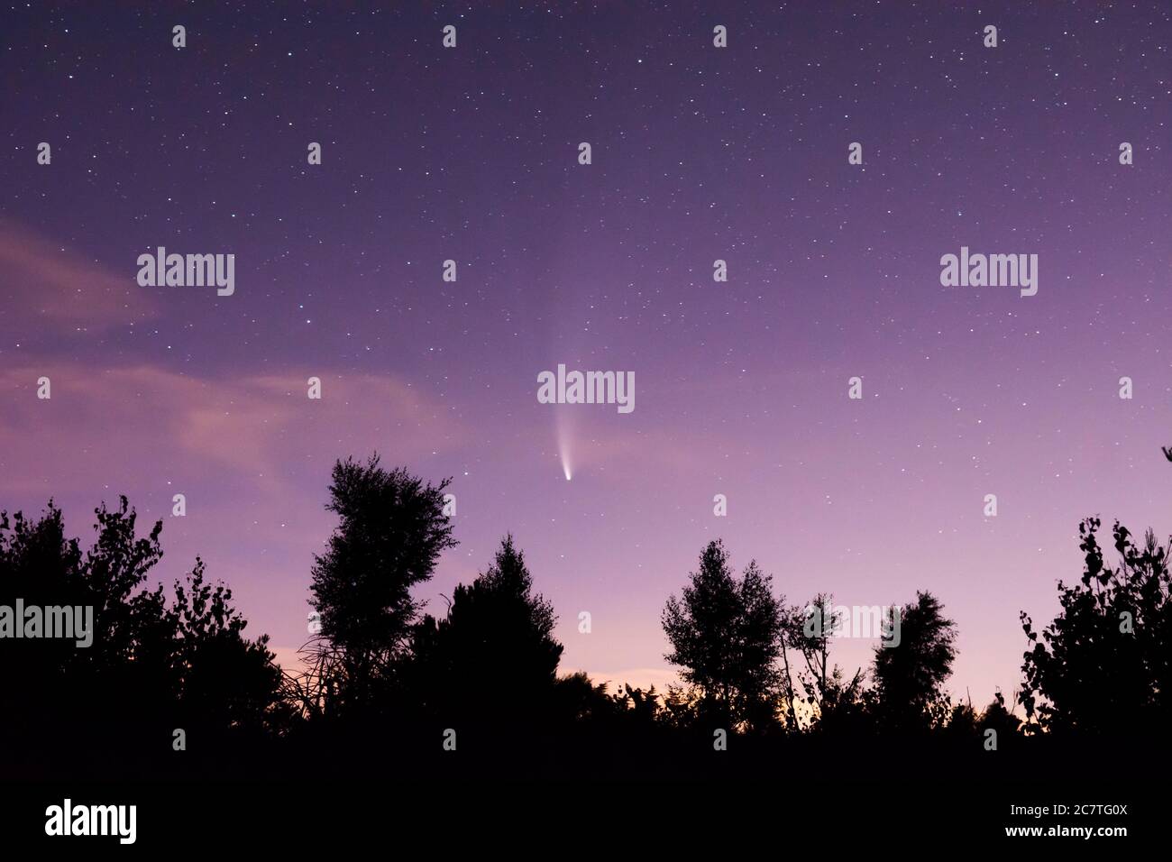 Comet 2020 Neowise seen from Stedham and Iping Common, Sussex, UK, July ...