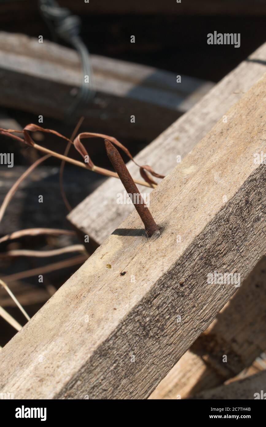 Closeup of an old rusty nail through a wood Stock Photo - Alamy