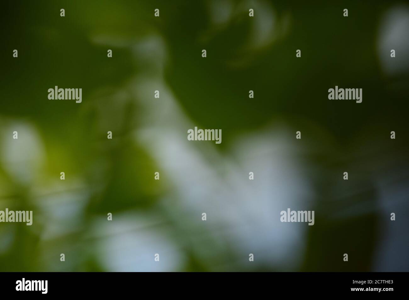 Green blurry abstract nature background with bokeh effects Stock Photo ...