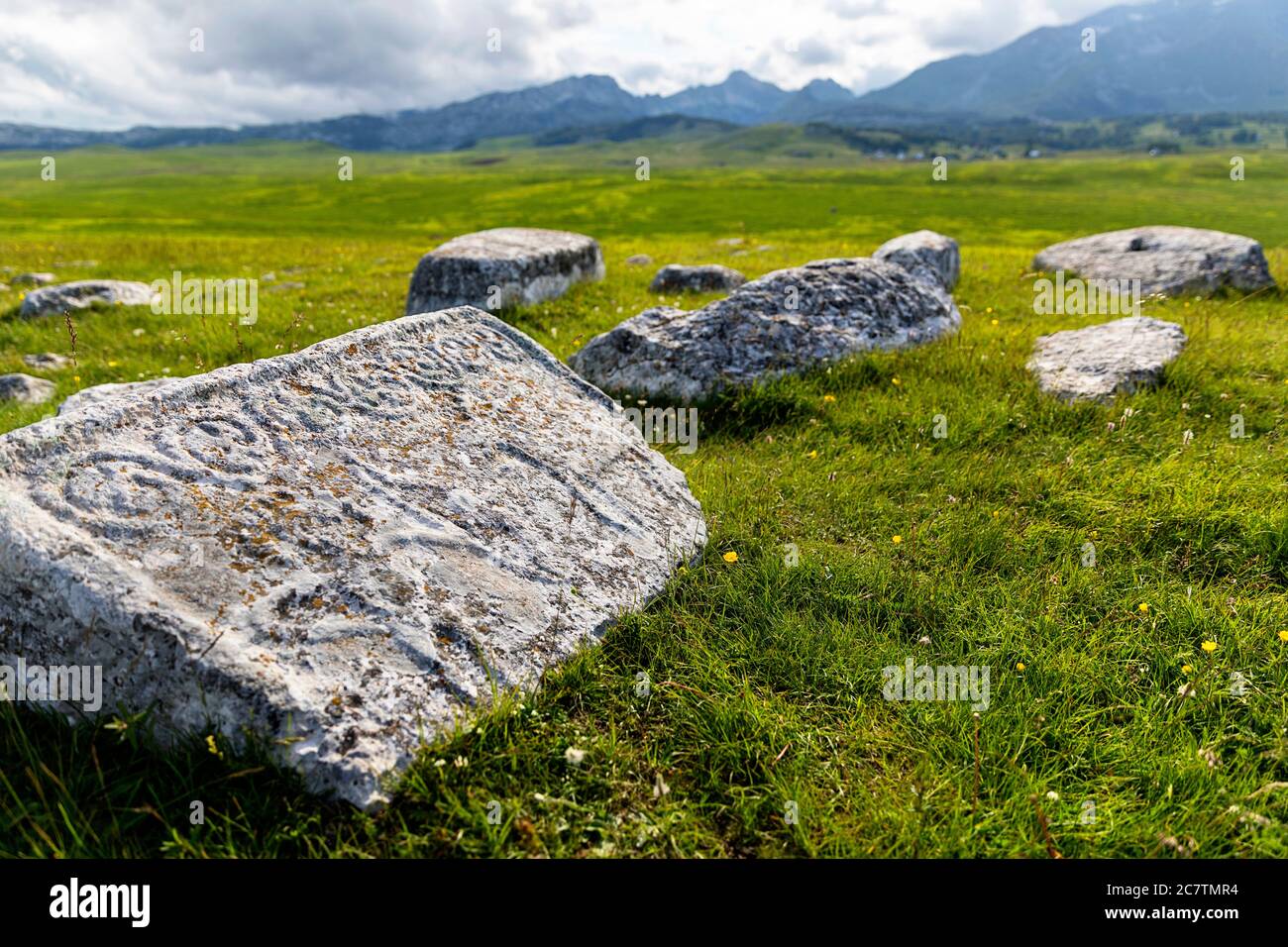 Stecci hi-res stock photography and images - Alamy
