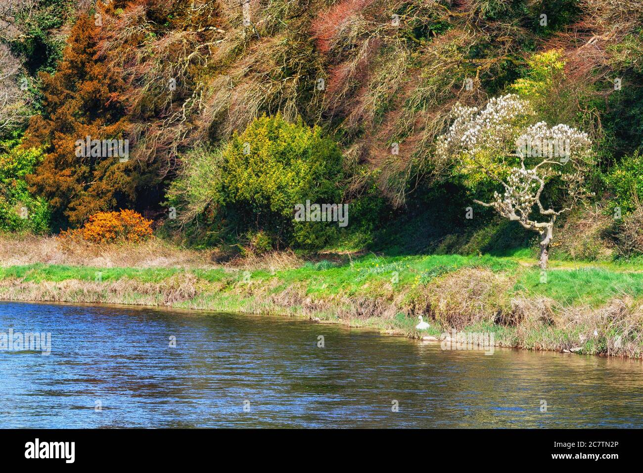 Spring landscape on the river hi-res stock photography and images - Alamy