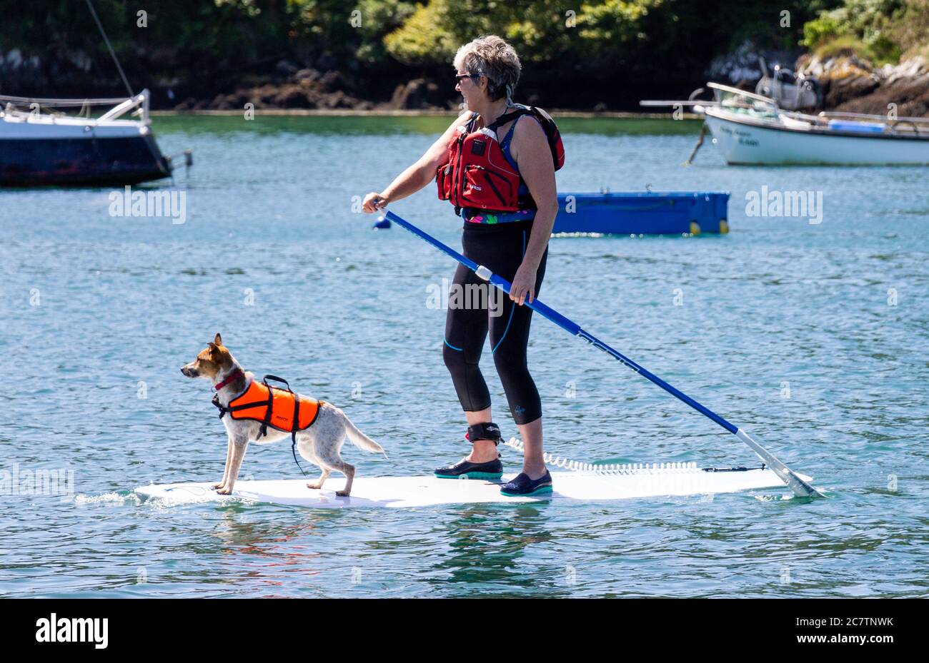 Paddlboard hi-res stock photography and images - Alamy