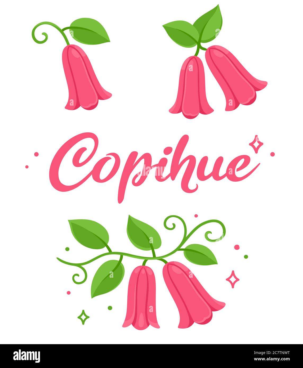 Chile National Flower