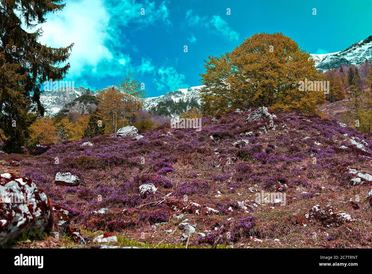 Outdoor alpine hi-res stock photography and images - Alamy