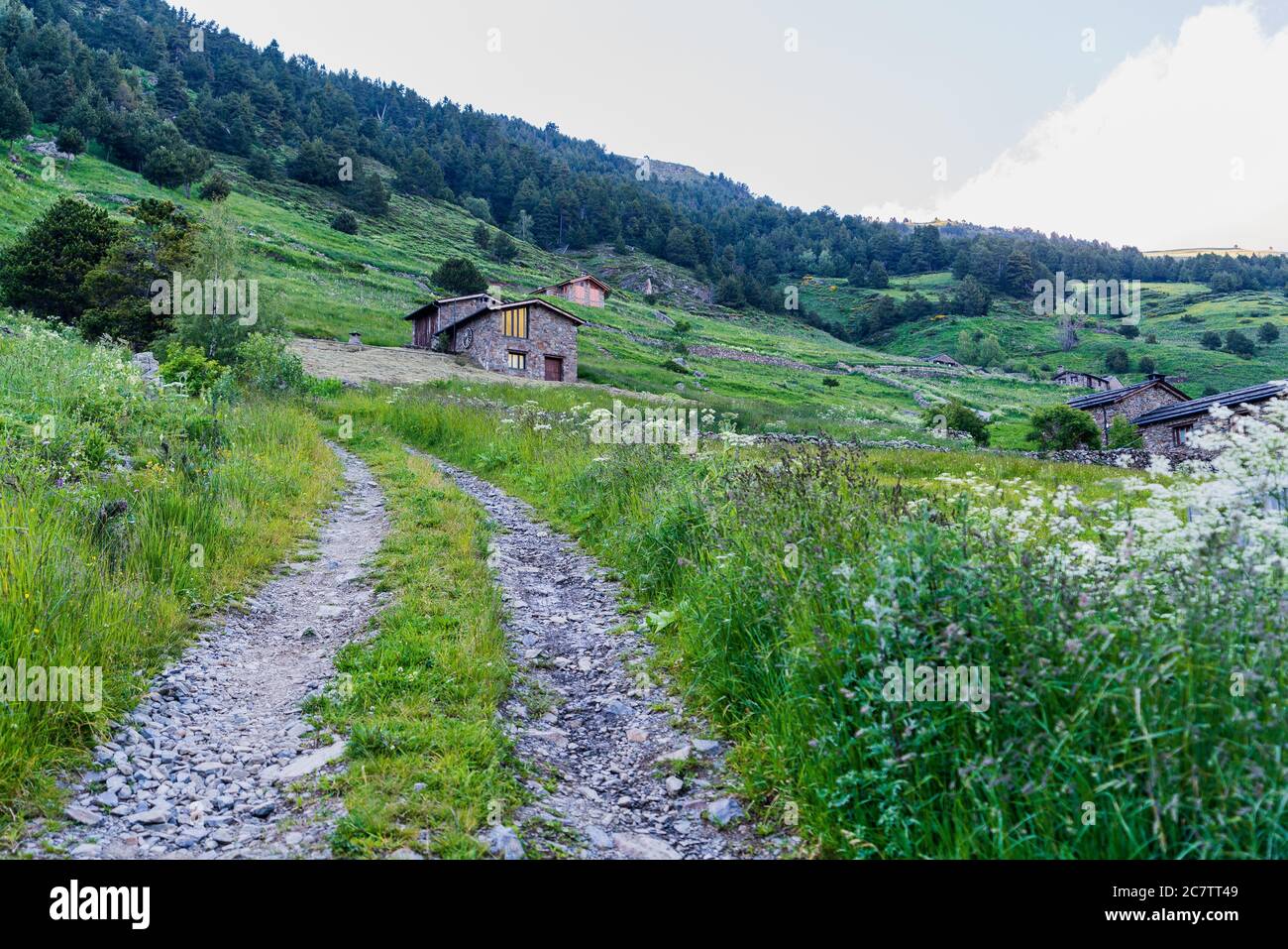 Beautiful shot of a rough rural road on the background of some houses ...