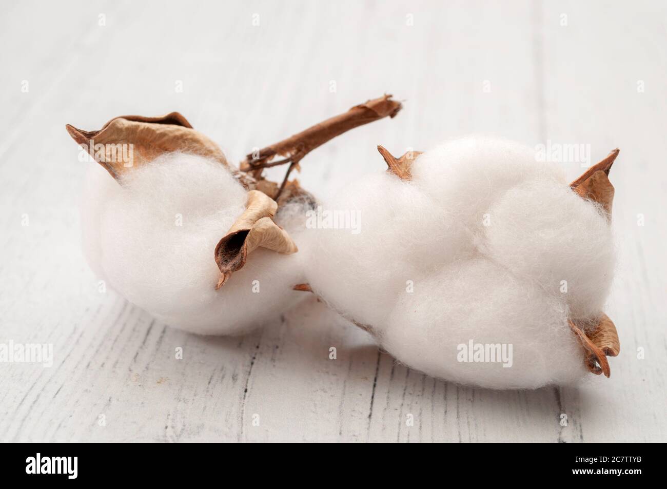 Raw material and textile fiber production concept with close up on ...
