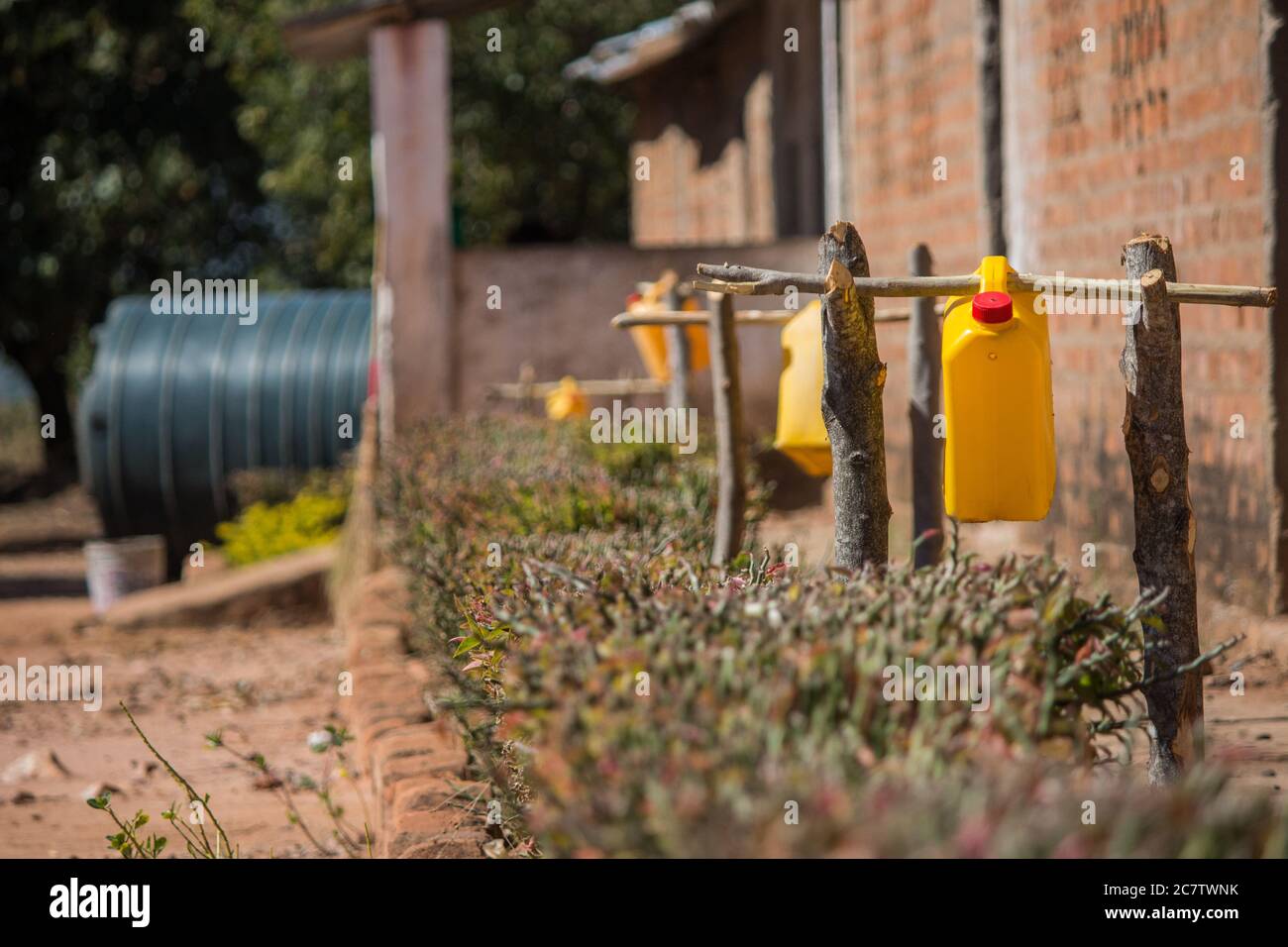 Water gallons recycled and adapted on tree logs as hand washing ...
