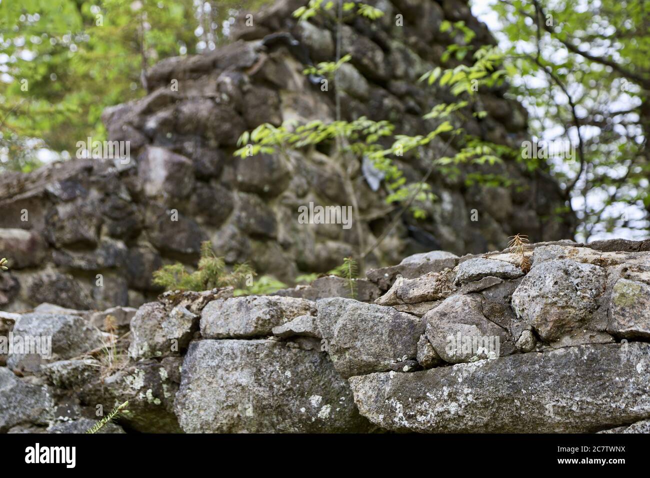 Closeup of old stone ruins of a forgotten lodge surrounded by greenery ...