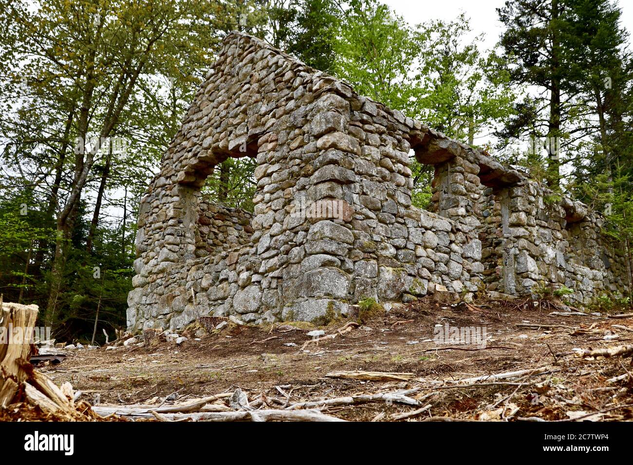 Low angle shot of old stone ruins of a forgotten lodge surrounded by ...