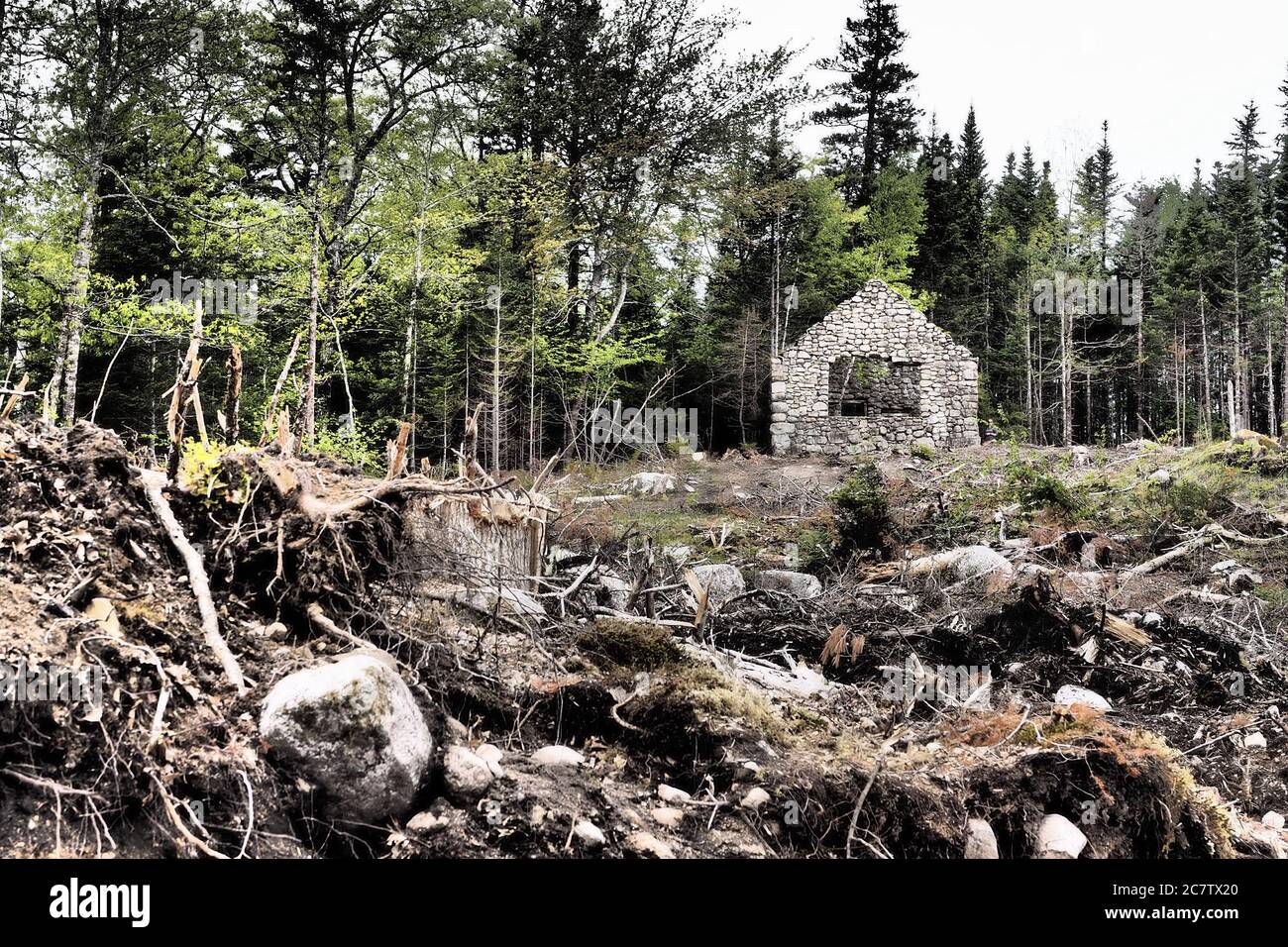 100-year-old stone ruins of a forgotten lodge surrounded by greenery ...