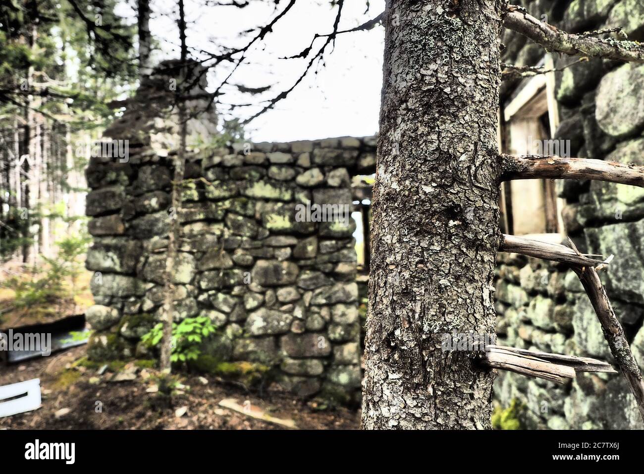 Closeup of 100-year-old stone ruins of a forgotten lodge surrounded by ...