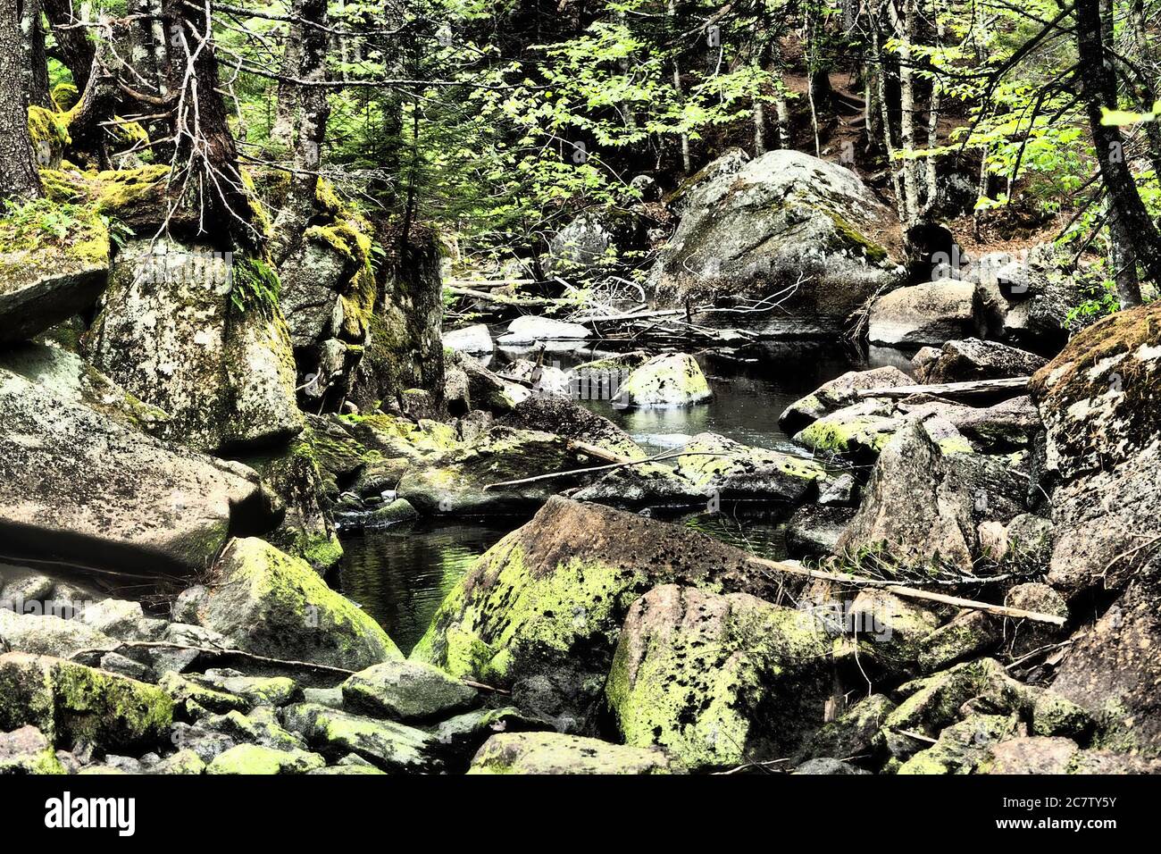 Waterfall falling into a lake with stones covered with moss in Halifax ...