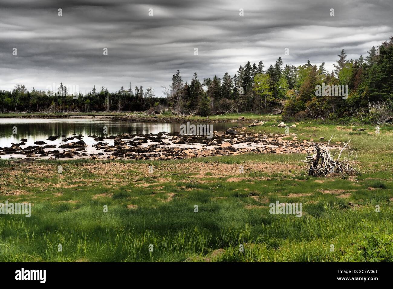 Lake surrounded by grass and trees in Halifax, Canada Stock Photo - Alamy