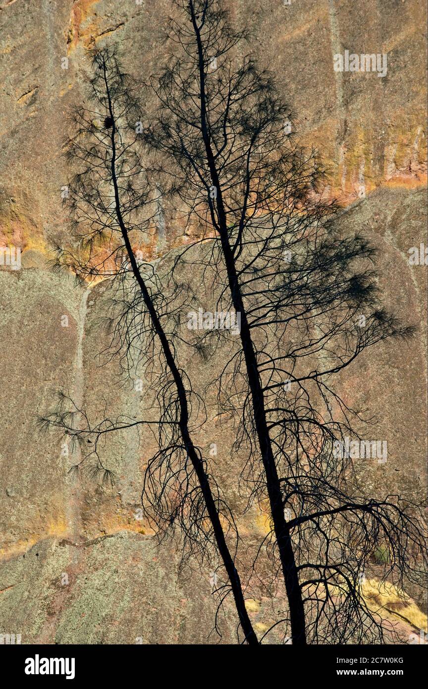 Pinnacles national park hi-res stock photography and images - Alamy