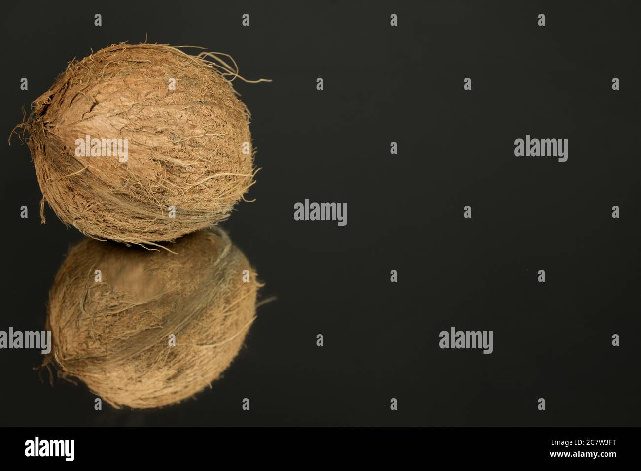 Large shaggy coconut isolated on a black mirror surface with reflection ...
