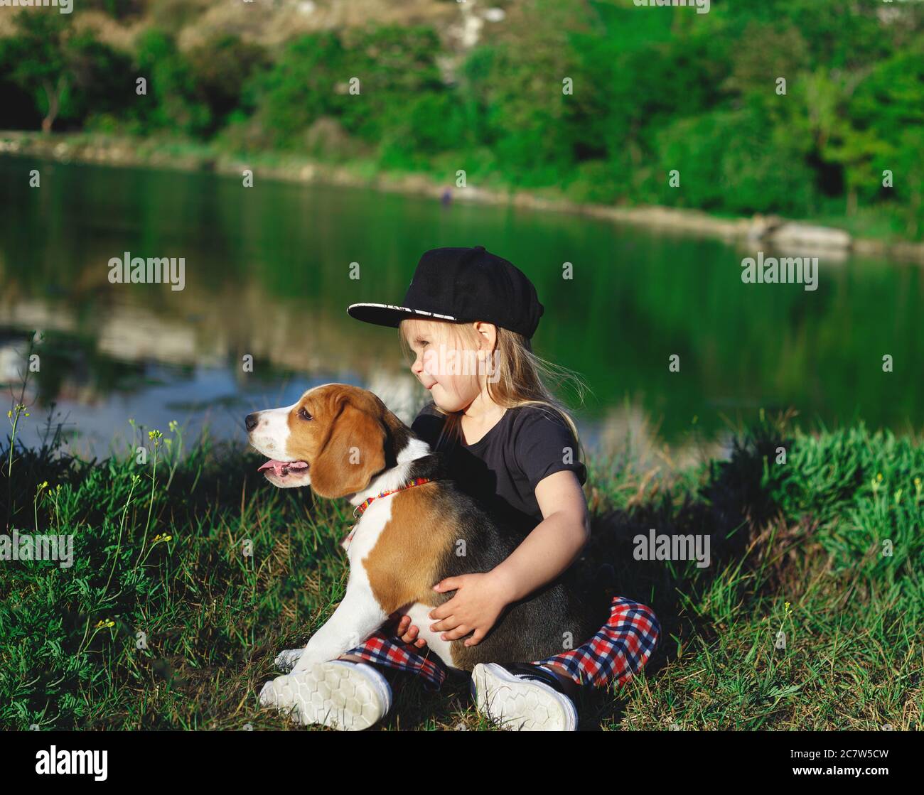 little girl hugs a cute beagle puppy Stock Photo - Alamy