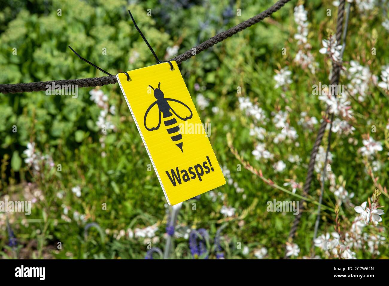 Hampshire, England, UK. 2020. A warning sign for active wasps area in a ...