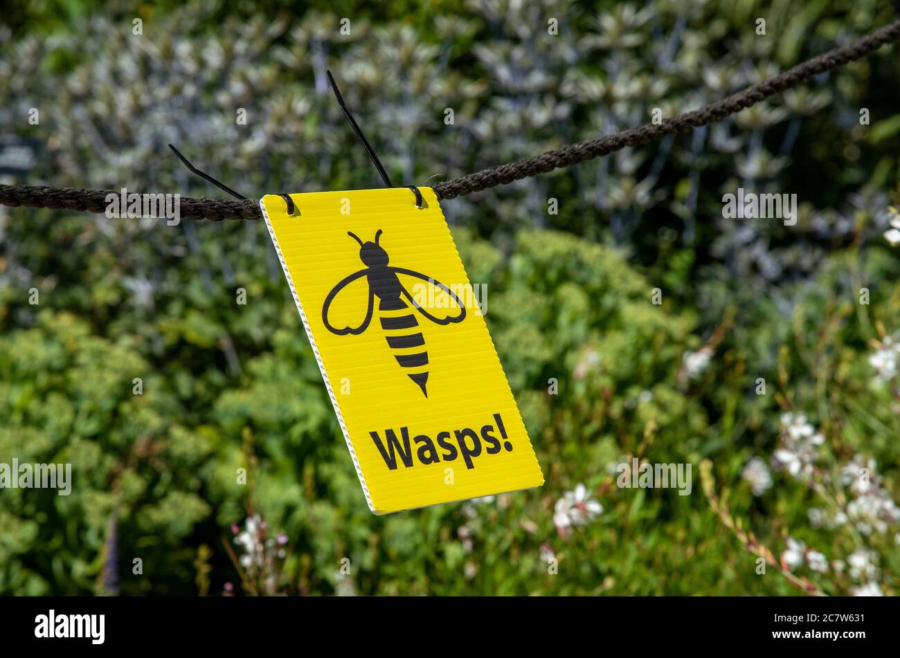 Hampshire, England, UK. 2020. A warning sign for active wasps area in a ...