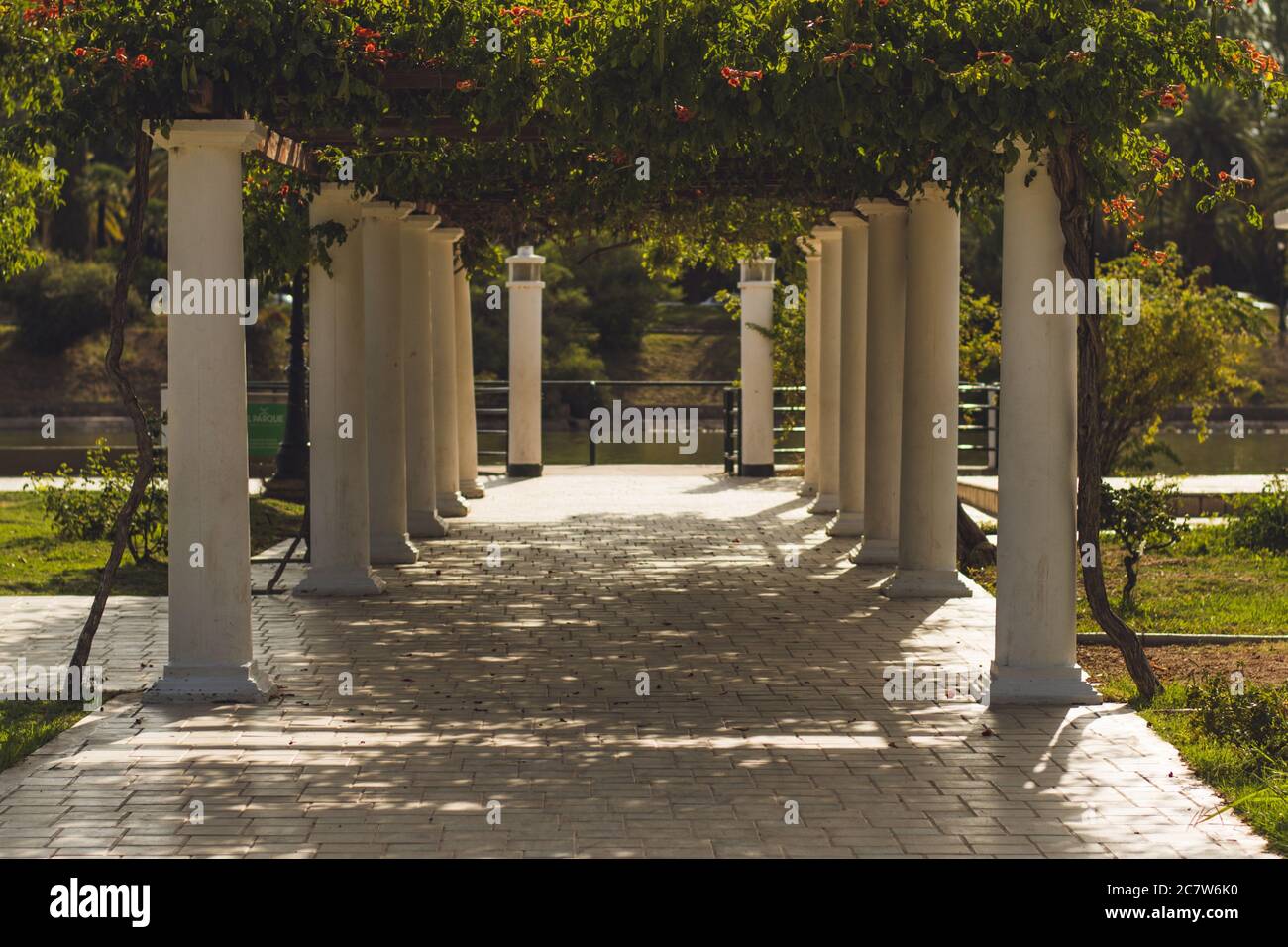 Pathway with white columns on the edges in the beautiful floral garden ...