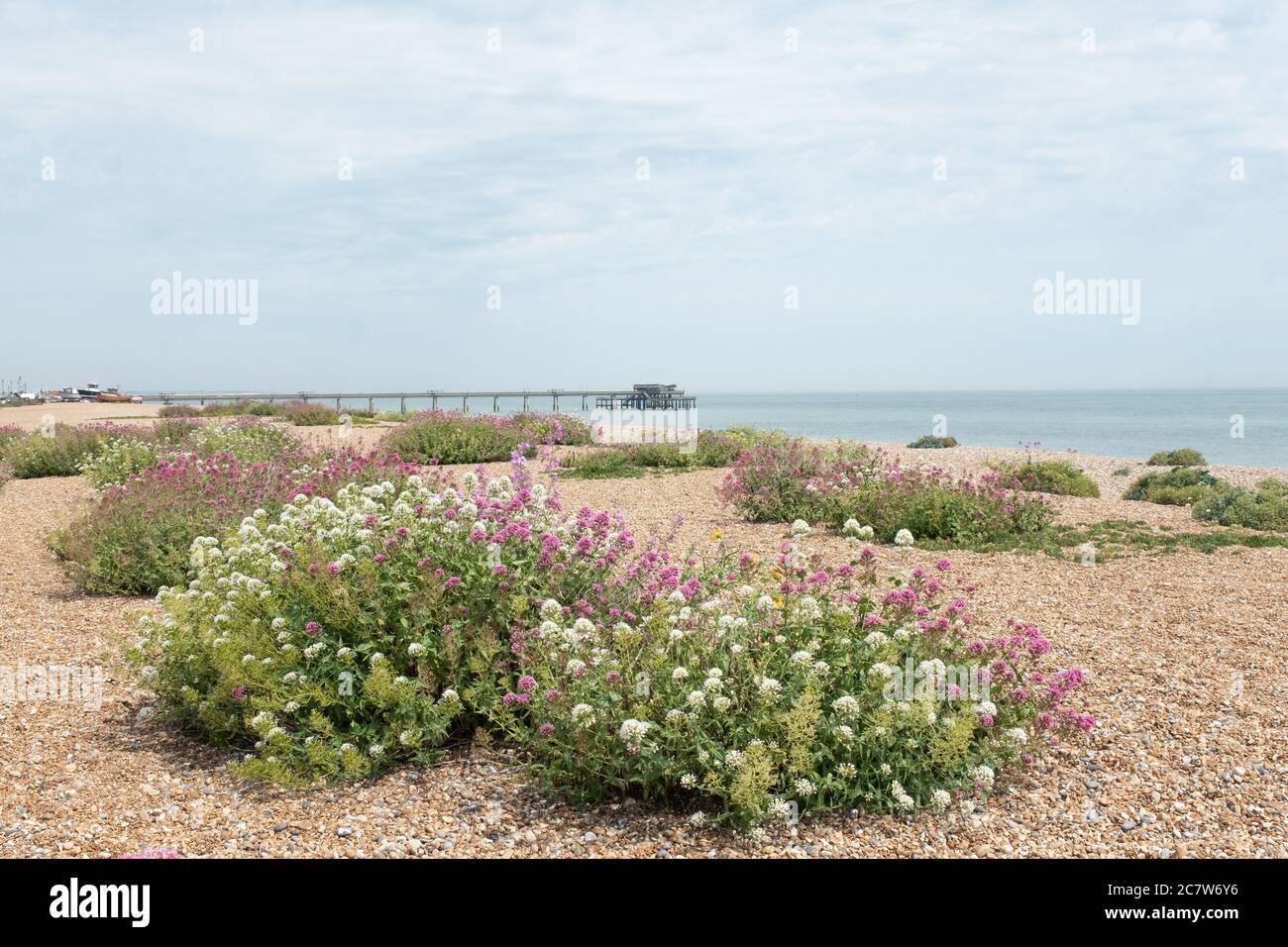 The Beach, Deal, Walmer, Kent, UK Stock Photo - Alamy