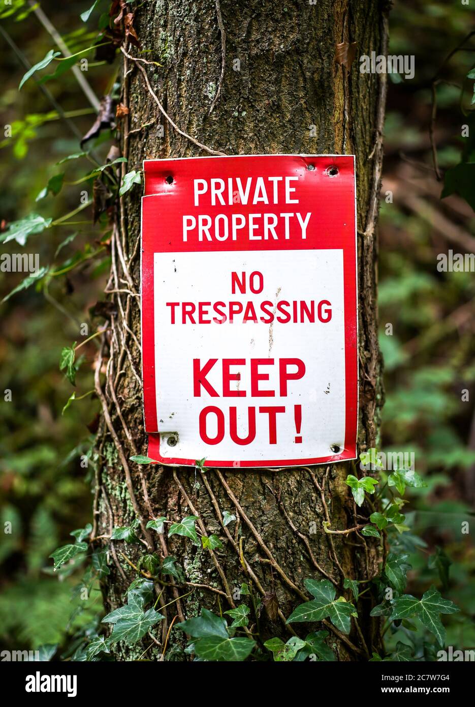 Keep Out sign in UK woodland. Signage warning public to keep out, no ...