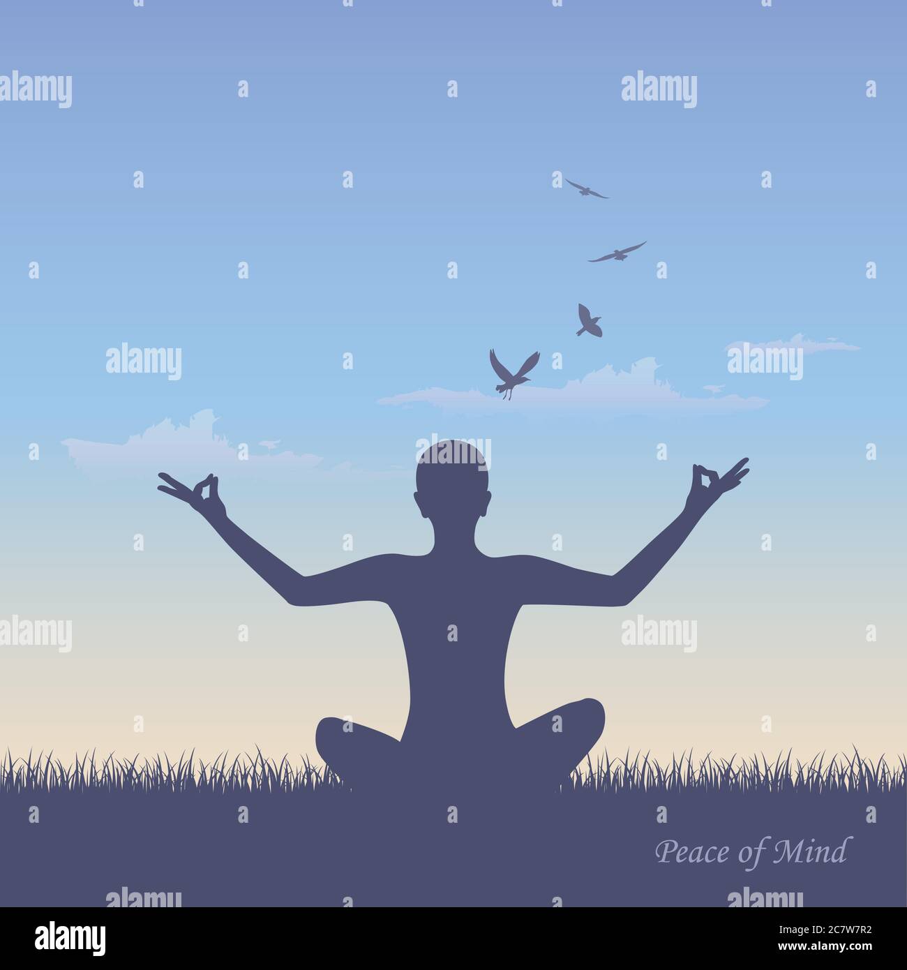 Meditating bird hi-res stock photography and images - Alamy