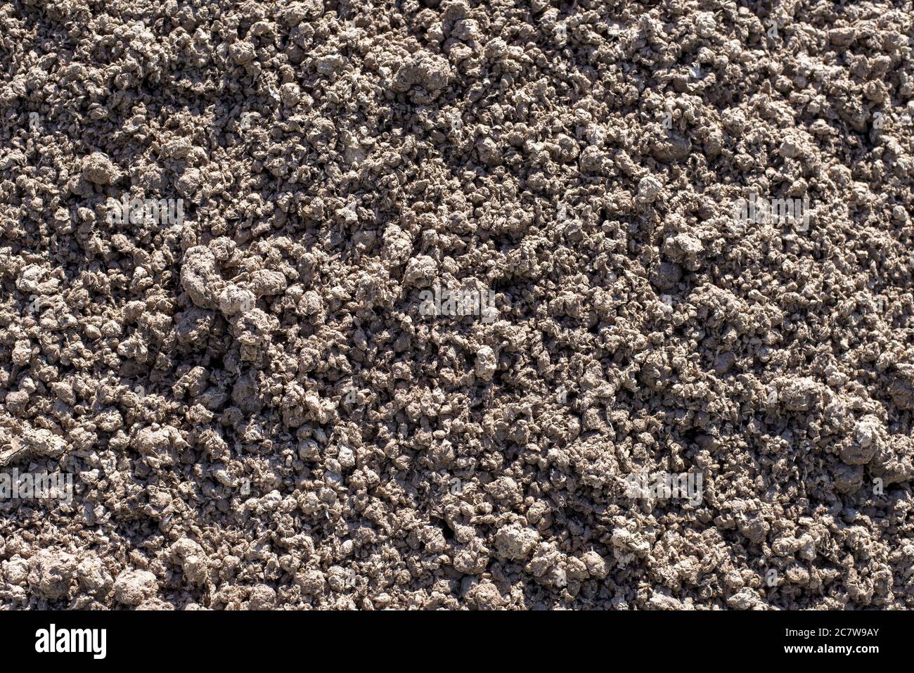 Closeup shot of waste paper pulp Stock Photo - Alamy