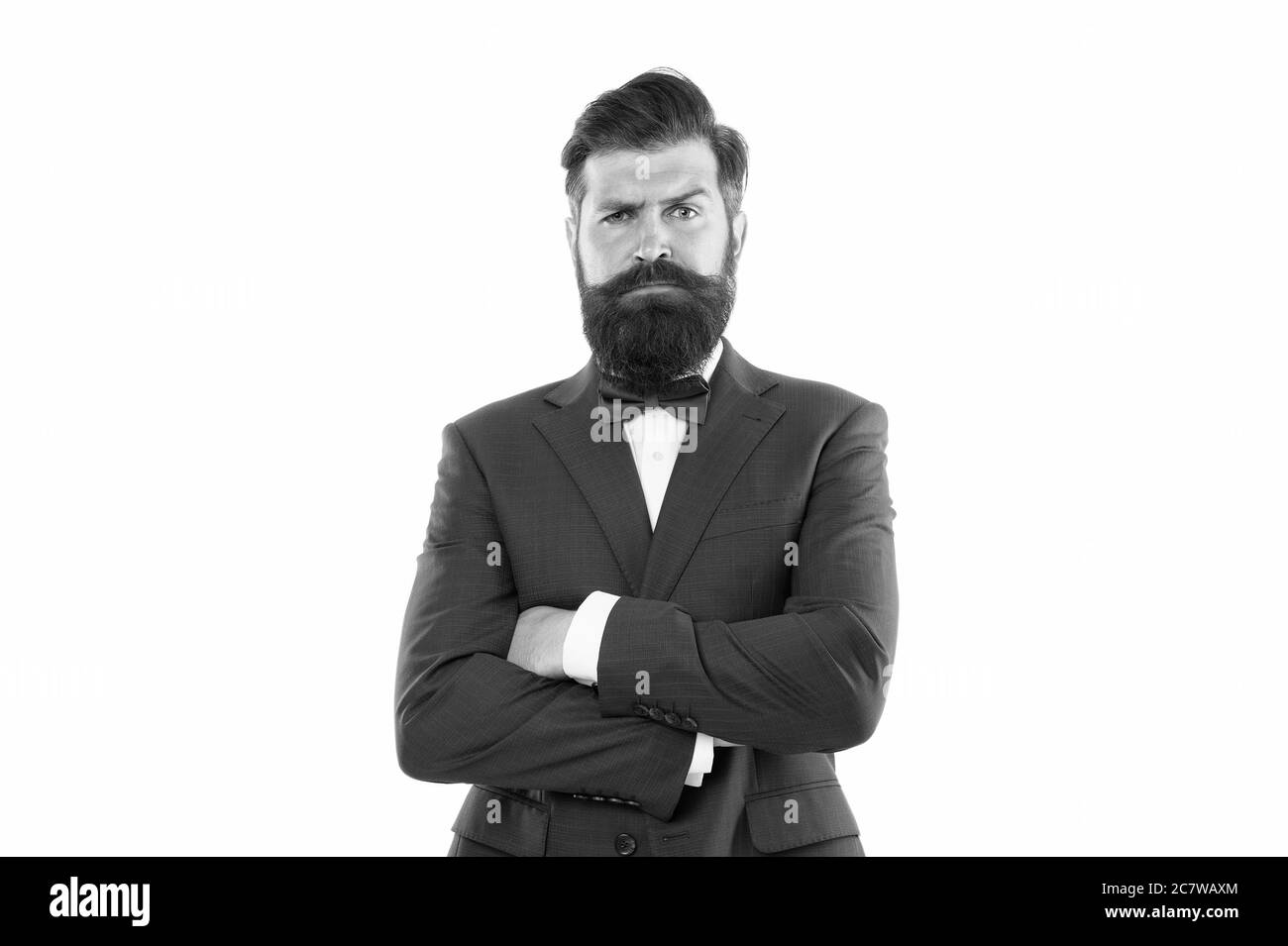 male fashion model posing. Handsome brunette model with beard and ...