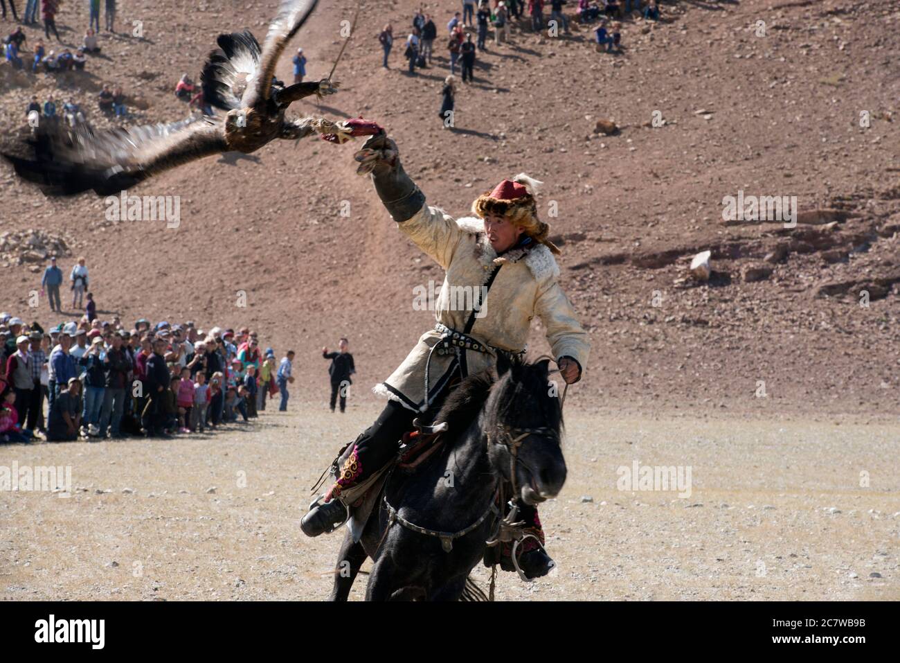 An ethnic Kazakh nomad successfully calls his golden eagle to land on ...